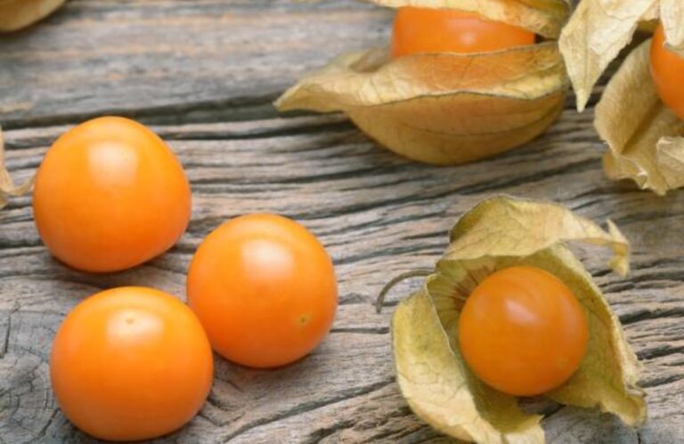 Uchuva: La fruta exótica que es beneficiosa para la salud - Zona Captiva